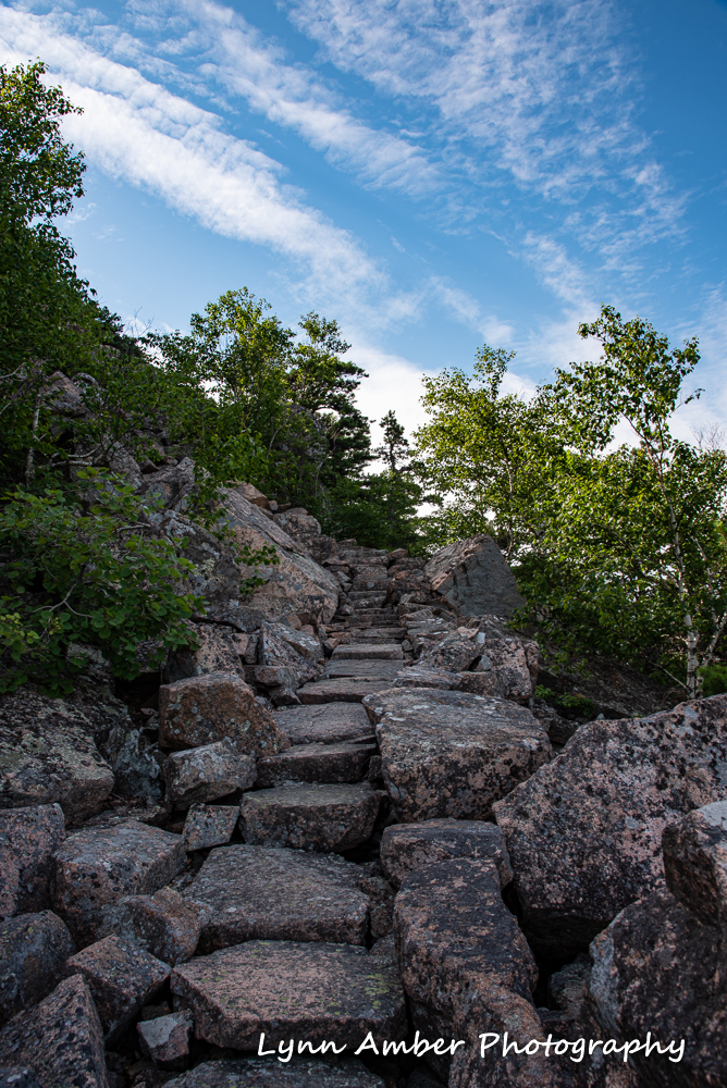 Wednesday Walkabouts: Acadia’s Beachcroft Path – Lynn Amber – Travel ...