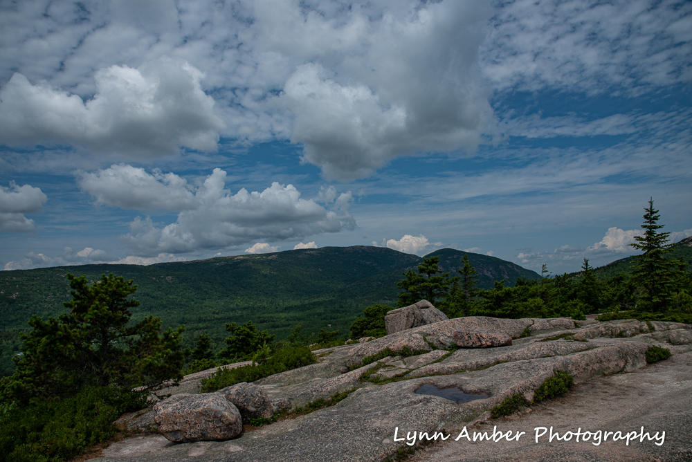 Wednesday Walkabouts: Acadia’s Beachcroft Path – Lynn Amber – Travel ...