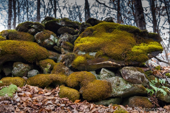 Vermont’s Stone Walls – Lynn Amber – Travel & Photography