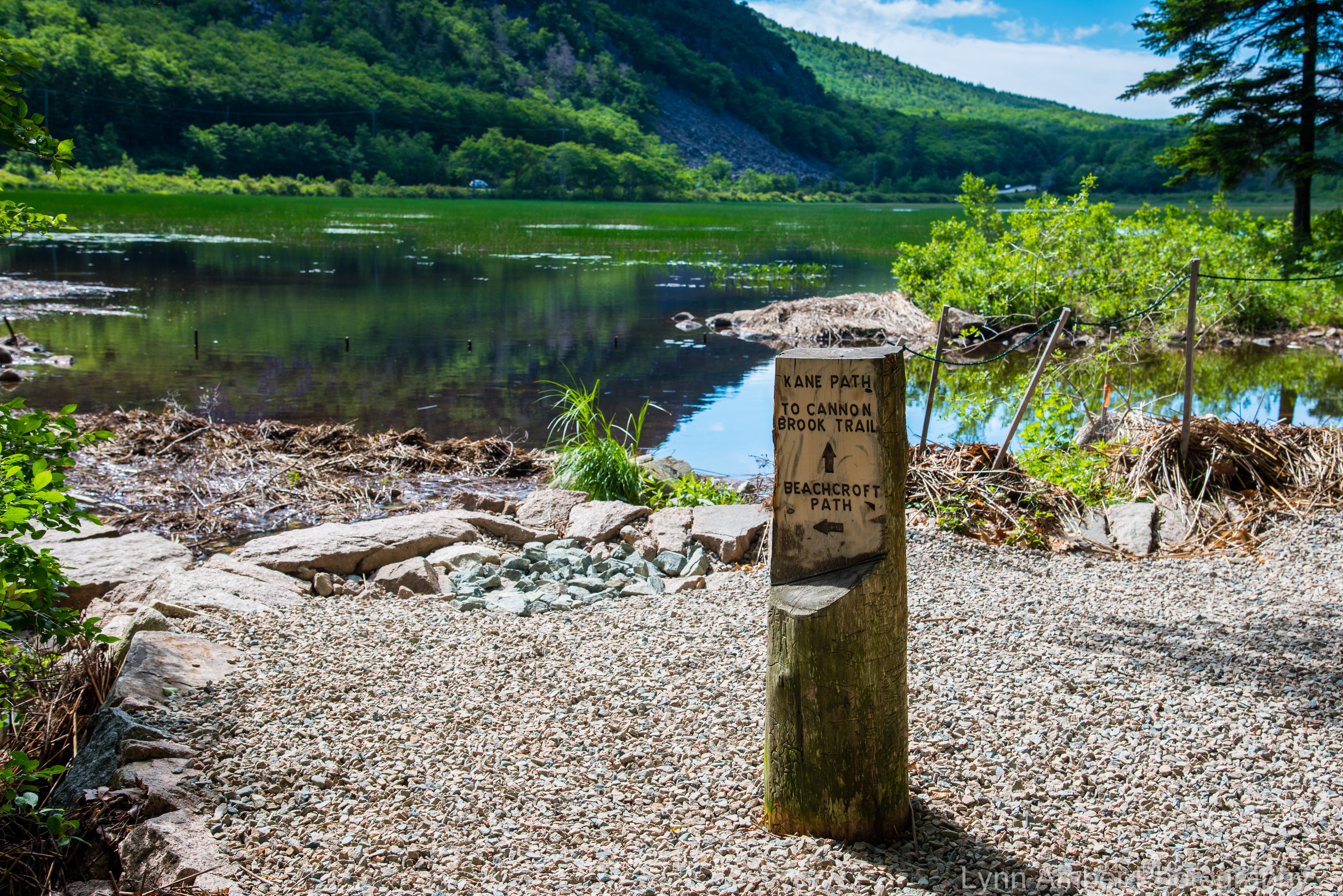 Historic Acadia Trails – Lynn Amber – Travel & Photography