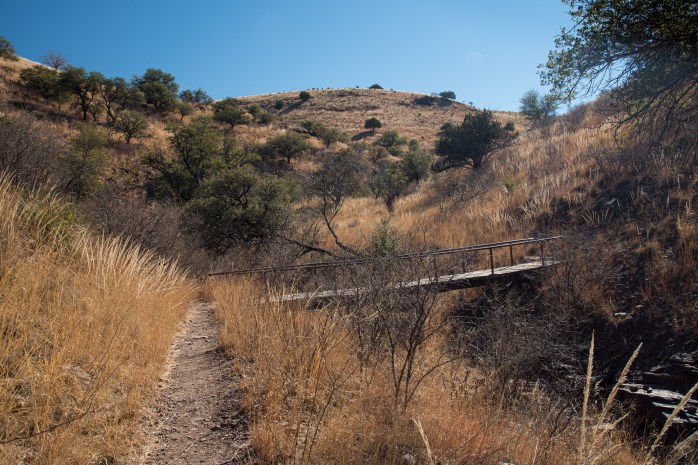 Davis Mountain State Park – Lynn Amber – Travel & Photography