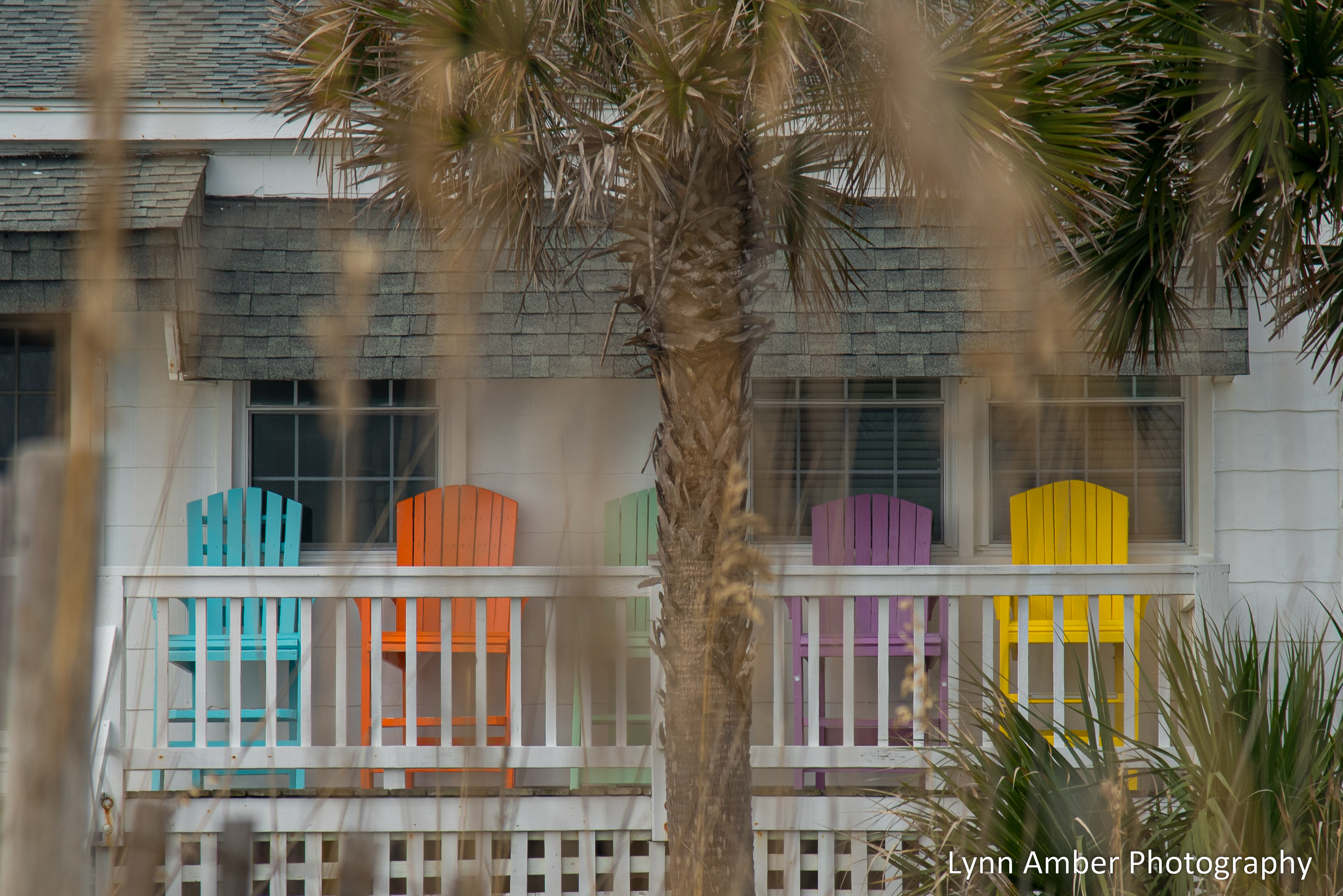 Edisto Beach Moments – Lynn Amber – Travel & Photography