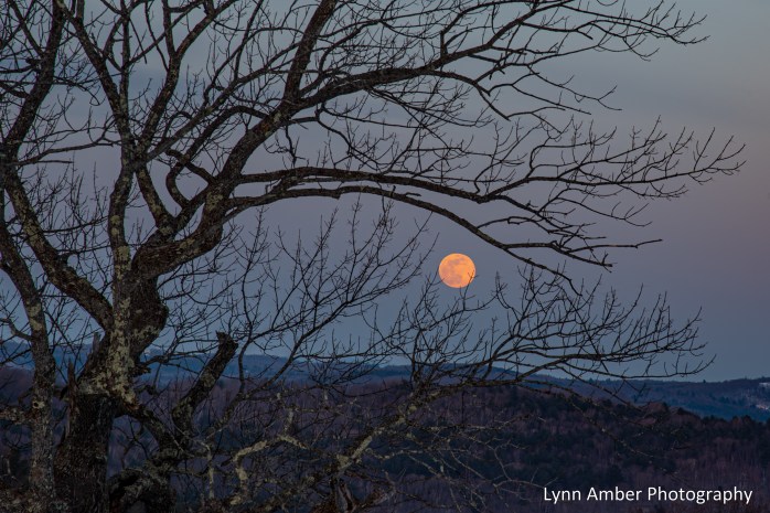 Moon – Nature Photo Challenge – Lynn Amber – Travel & Photography