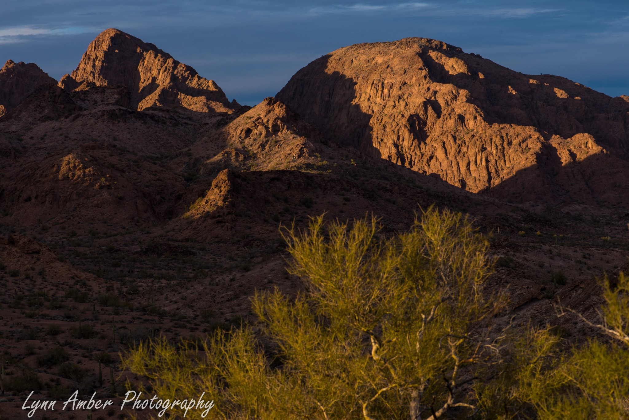 Missing the Desert… – Lynn Amber – Travel & Photography